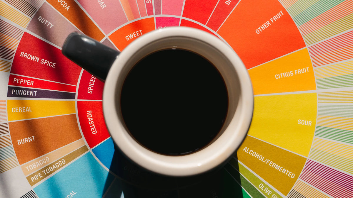 Blends – Fortuna Coffee